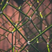 Affiliates and Connected Entities | Tax Talks